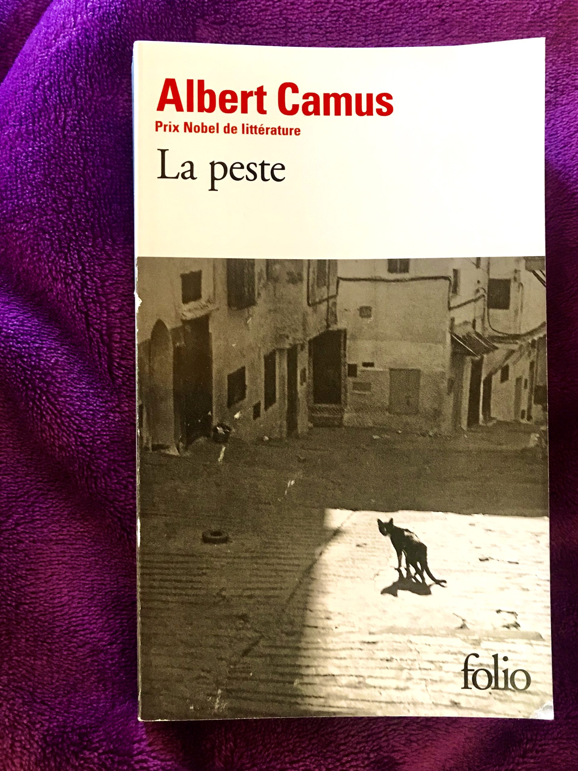 Reading French Literature 101: Albert Camus- La Peste – Babel School of ...